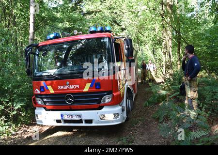 Firemen pictured as a fire started earlier today in the Villers wood in ...