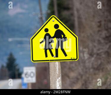 School zone yellow road sign, pedestrian crossing. Children safety, New ...