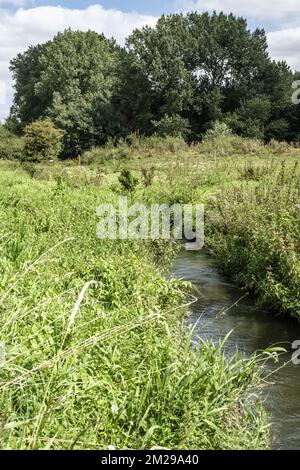 Lasne valley in Rixensart | Vallee de la Lasne a Rixensart Le vallon du ...