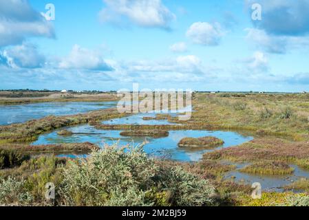 Salt marsh. | Marais salant. 05/05/2016 Stock Photo - Alamy