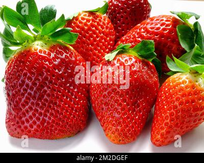Food | Alimentation fraises 04/03/2018 Stock Photo - Alamy