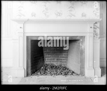 Danversport, 166 High Street, interior detail, front hall wallpaper ...