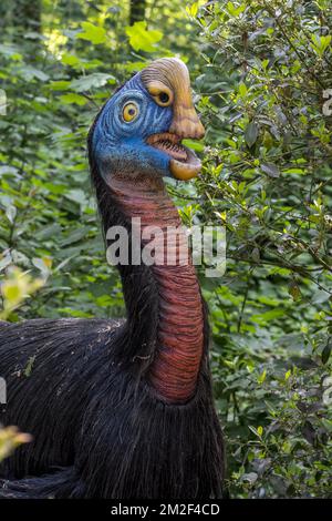 Realistic lifesize replica of Citipati, oviraptorid theropod dinosaur ...