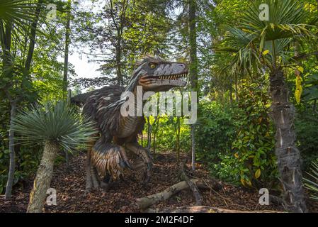 Realistic lifesize replica of Utahraptor ostrommaysorum, theropod ...