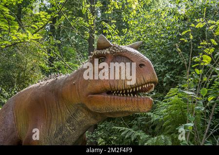 Realistic lifesize replica of Carnotaurus sastrei, theropod dinosaur ...