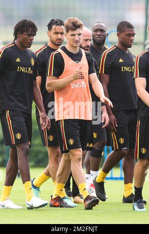 Belgium's Dedryck Boyata and Belgium's Laurent Ciman pictured after a ...