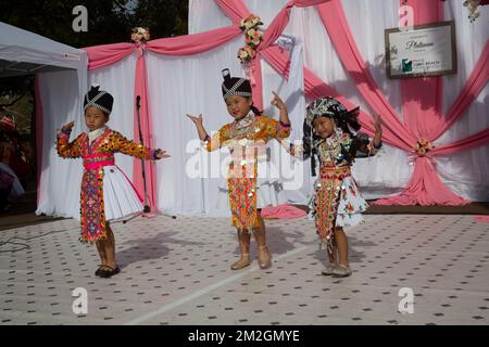 Traditional Hmong dancers at the Hmong New Year Celebration at El ...