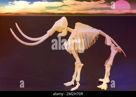 The extinct animal mammoth | Le mammouth animal disparu 25/07/2018 ...