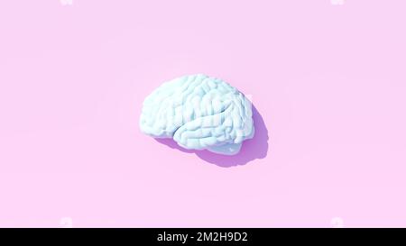 Pale Pink Human Brain Anatomy Neurology Mind Intelligence Think Medical Symbol Blue Background ...