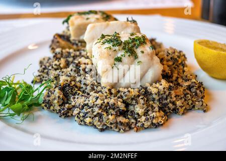 Baked sturgeon piece on quinoa with champignon mushroom, pea sprout and ...