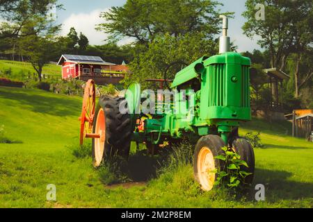 One of my favorite parts of the Makaino Ranch (Shizuoka Prefecture ...