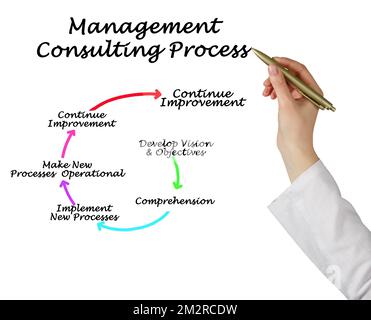 Components of Management Consulting Process Stock Photo - Alamy