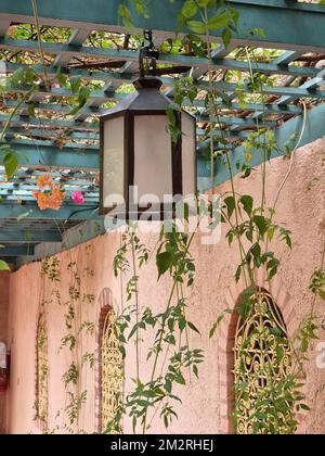 Plants hang from a wall in a bright outdoor space Stock Photo - Alamy