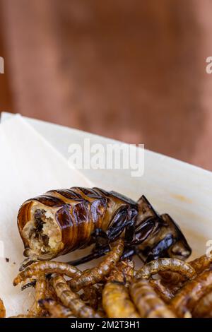 Fried wood grubs, mealworms and cockroach on a wooden chopping board ...
