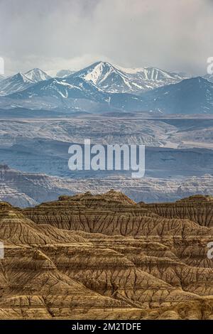 A vertical shot of the Earth forest landform in Zanda County, Tibet ...