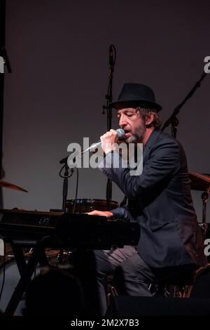 The French singer Arthur H on stage Stock Photo - Alamy