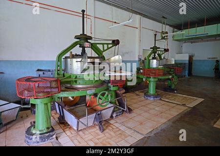 70 year old still working machine for drying the cutted tea of the ...