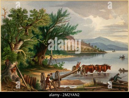 Floating timber, Meredith , Mountains, Bodies of water, Trees, Carts ...