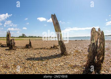 The beautiful scenery of wooden posts on the shore during sunrise Stock ...