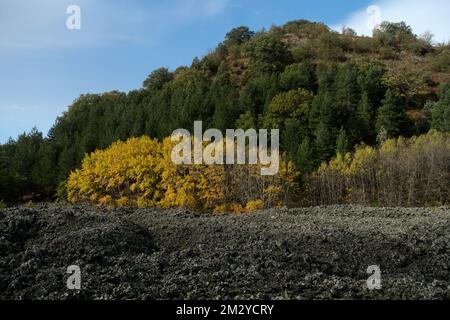 very old lava field and small lateral volcano covered by mixed forest ...