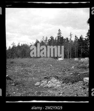 Forest , Forests. Photographs of the First Naval District Stock Photo ...