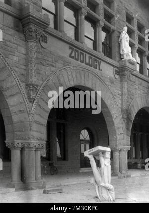 Black and white photograph of a classic statue bust Stock Photo - Alamy