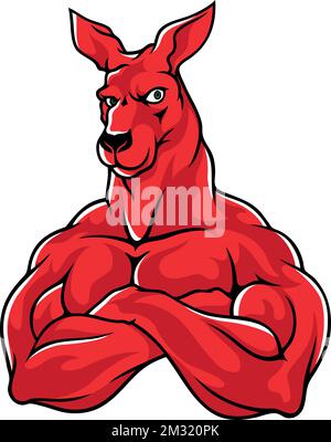 Muscular kangaroo cartoon character illustration Stock Vector Image ...