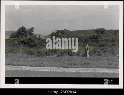 General view along Administration Road, for vista clearing, Quabbin ...