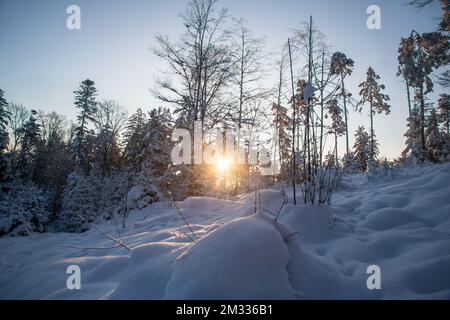 Sunrise, Winter landscape in the Waldviertel, Austria Stock Photo - Alamy