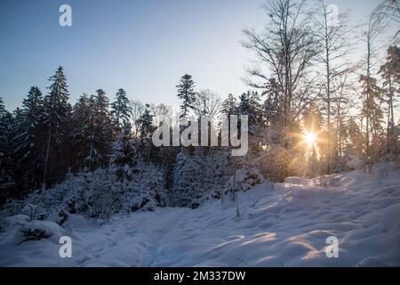 Sunrise, Winter landscape in the Waldviertel, Austria Stock Photo - Alamy