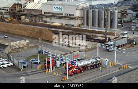 Aerial drone picture shows the Beneo-Orafti production site, in Oreye ...
