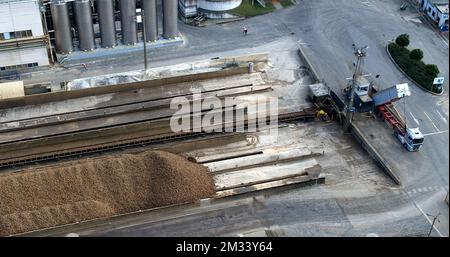 Aerial drone picture shows the Beneo-Orafti production site, in Oreye ...