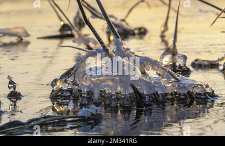 Winter landscape. Pugarevsky quarry, Vsevolozhsk Leningrad region Stock ...