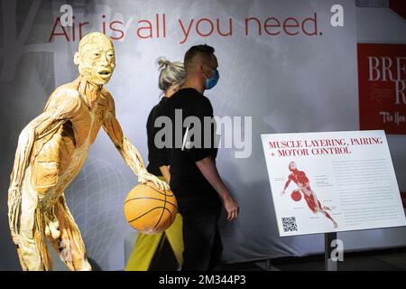 Illustration picture shows the 'Real Bodies' exposition on human ...