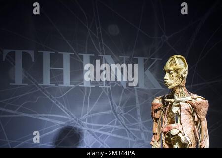 Illustration picture shows the 'Real Bodies' exposition on human ...