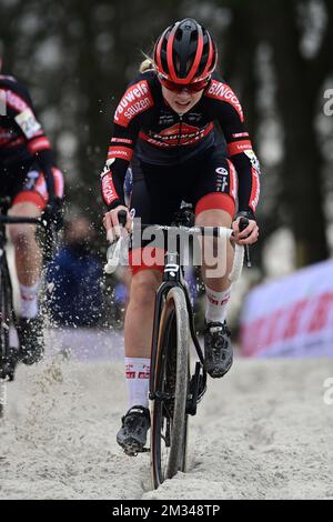 the women's elite race of the Zilvermeercross cyclocross cycling event in Mol, stage 5/7 in the ...