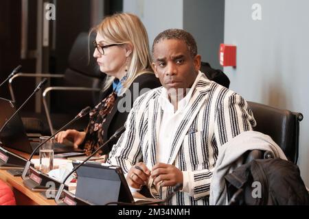 PS Thierry Witsel pictured during a plenary session of the Walloon ...