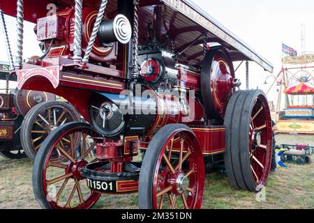 Steam Traction Engine The Pride of Shannon no. 15713 built by John ...