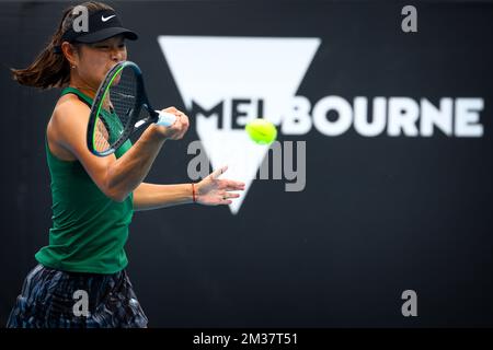 French Arianne Hartono (WTA 191) pictured in action at a women's first ...
