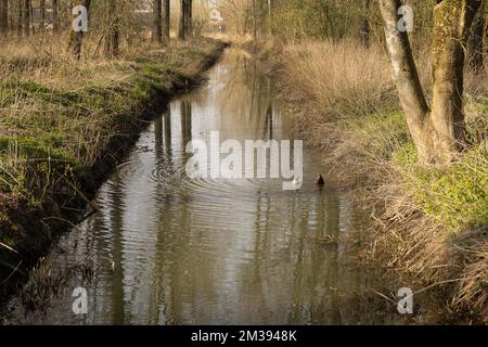 Illustration picture shows the sunny spring weather in Gent on Monday ...
