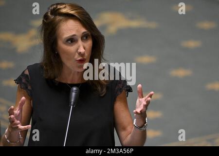 DeFI's Sophie Rohonyi pictured during the new year's reception of ...