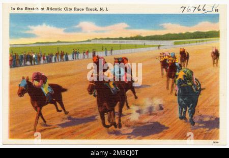 In the stretch at Atlantic City Race Track, N. J. , Sports & recreation ...