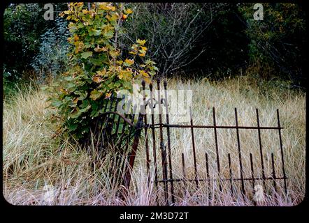 Iron gate , Gates. Edmund L. Mitchell Collection Stock Photo - Alamy