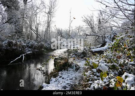 Snowy Conditions, River Cray, Foots Cray Meadows, Nature Reserve ...