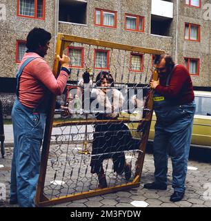 Abramakabra, ARD Comedy Serie, Deutschland, 1975, Sketche mit Uwe ...