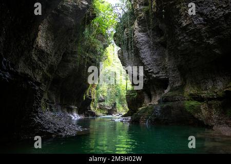 Spectacular Martvili canyon on Abasha river near Kutaisi, natural ...