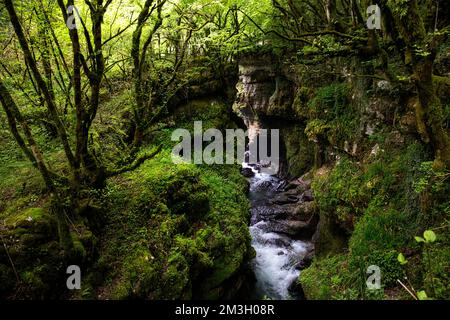 Spectacular Martvili canyon on Abasha river near Kutaisi, natural ...