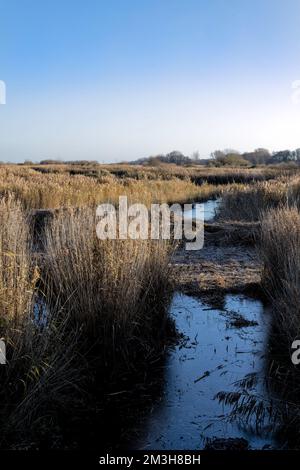A winter scene at Titchwell marsh, Norfolk, England Stock Photo - Alamy