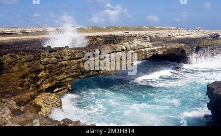 Rock Arch Devil's Bridge, East Coast, Antigua Barbuda Stock Photo - Alamy