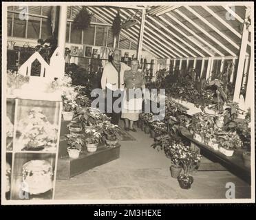 Mr. and Mrs. Antonio Russo. 611 American Legion Highway , Spouses ...